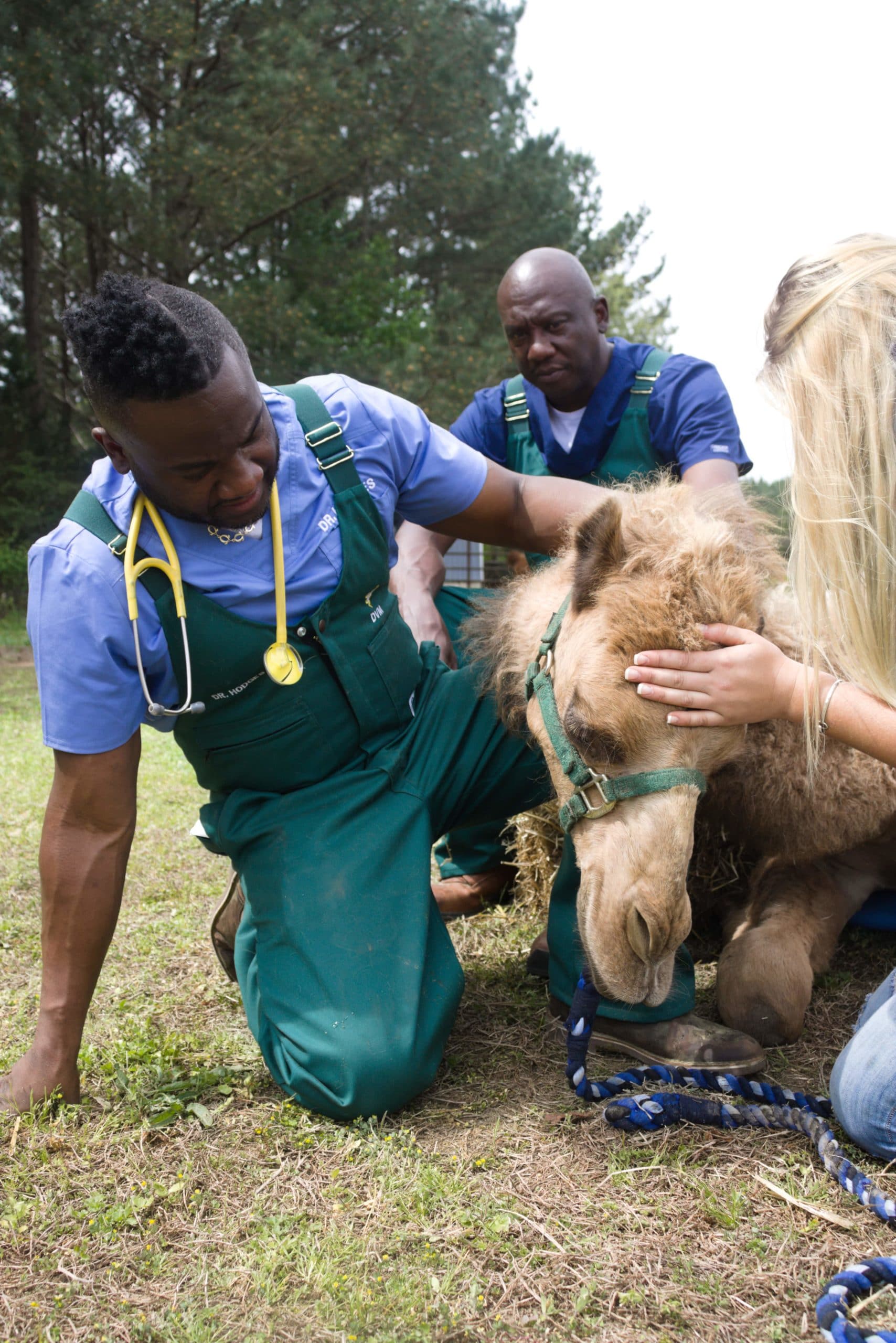 Gallery - Dr. Vernard Hodges